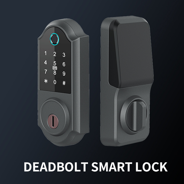 China Push Pull Smart Door Lock, Lever Smart Lock, Deadbolt Smart Lock ...